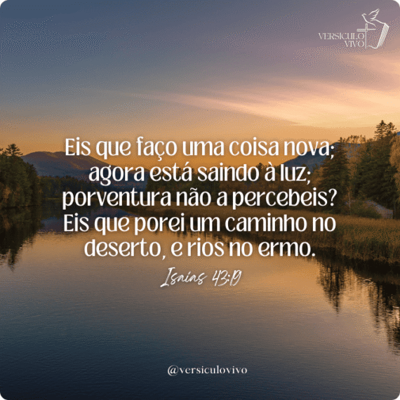 65 Versículos sobre Alegria: O Segredo da Felicidade Bíblica
